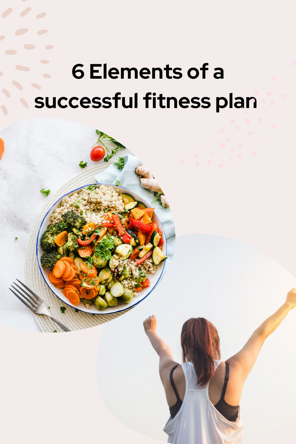 6 Elements of a successful fitness plan – IAM3F